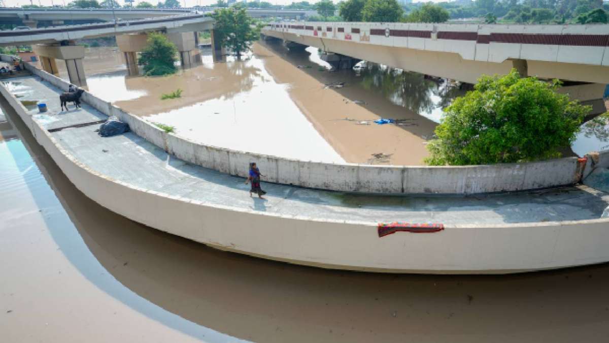Delhi: Yamuna water level recedes, but still above danger mark; video shows extent of floods ...
