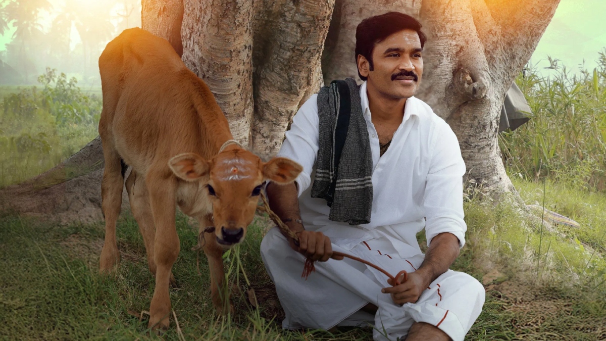 Dhanush directed movies list with box office collections | Regional ...