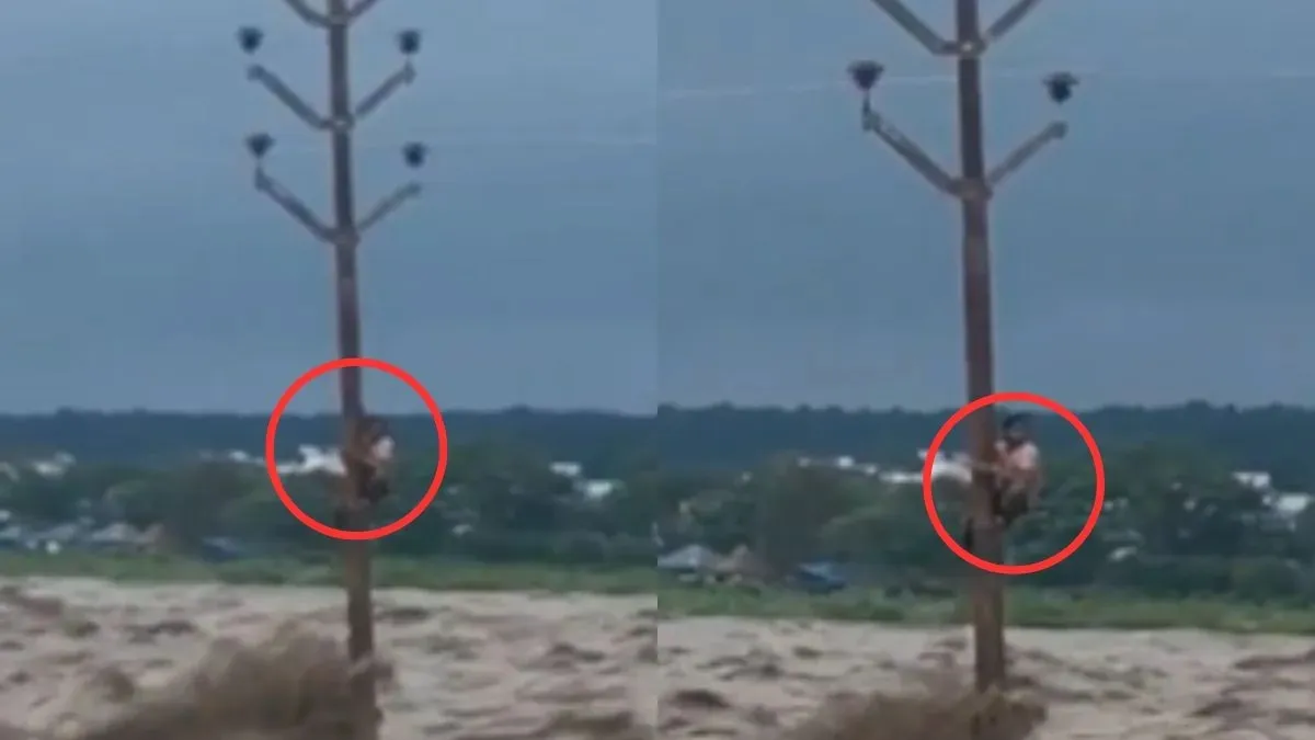 Dehradun cloudburst: Man climbs electric pole to save himself from raging flood waters, video ...