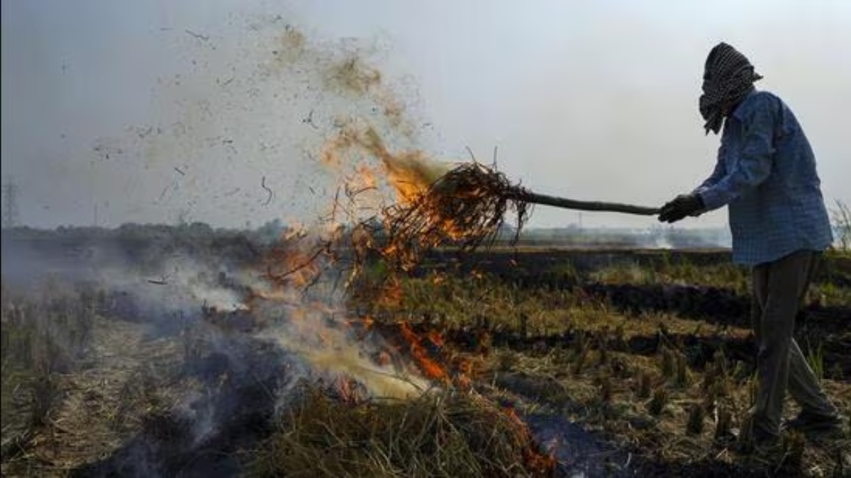 Punjab reports 62 stubble burning incidents, Amritsar tops the list; 14 FIRs registered | India ...