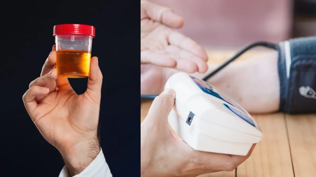 High blood pressure detection: How a urine test can save your kidneys ...
