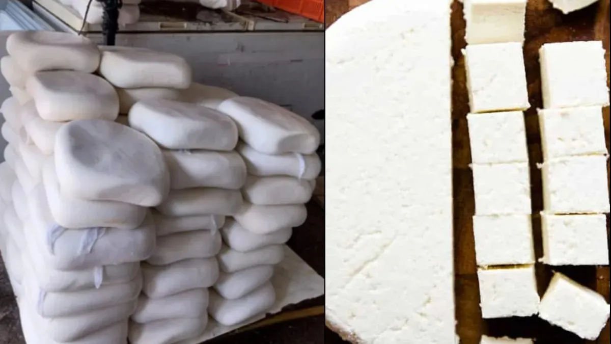 Fake Paneer Alert: Know the health symptoms and ways to spot ...