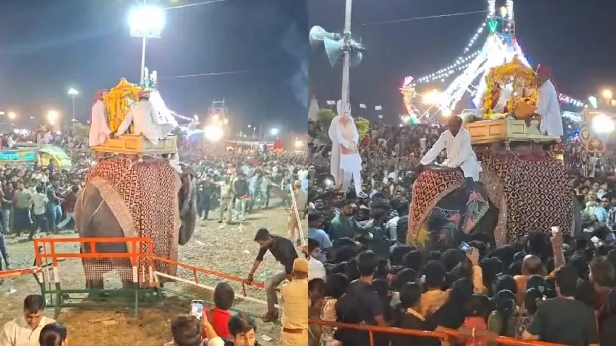 Chaos at Kota Dussehra fair as elephant runs amok during Lord ...