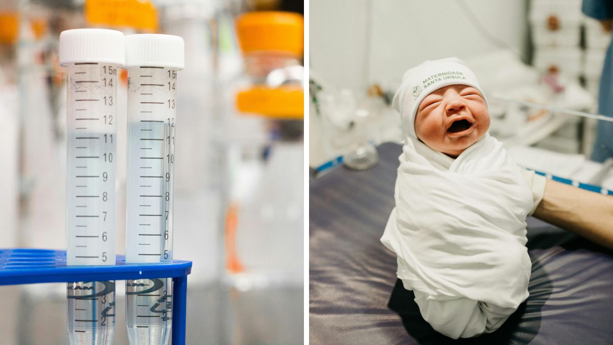 Can skin cells really become human eggs? The big fertility breakthrough explained | Health News ...