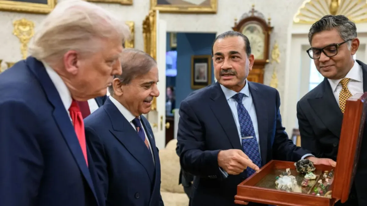 Pakistan sends first shipment of rare earth minerals to US: Report ...