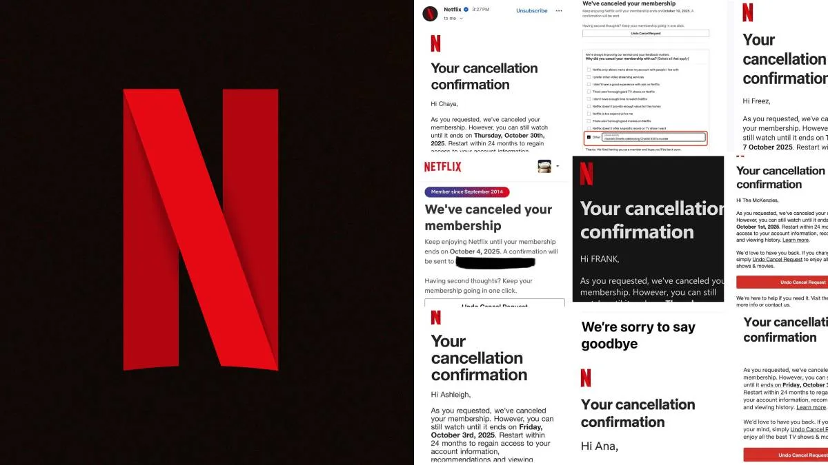 Why Netflix subscriptions are being canceled in droves after Elon Musk ...