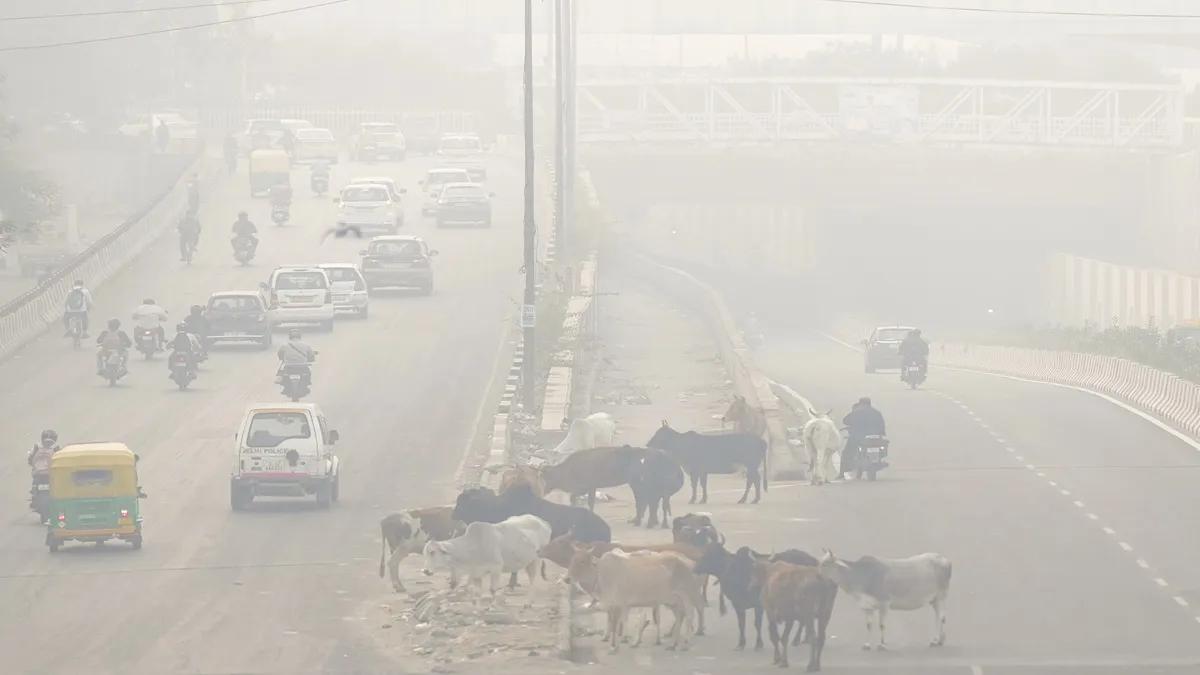 Delhi's visibility drops below 200 meters amid severe pollution, GRAP 3 ...