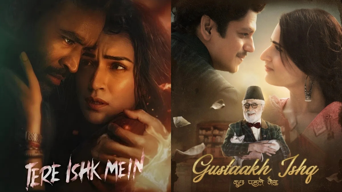 Box office collection [November 28, 2025]: Know how much Tere Ishk Mein ...