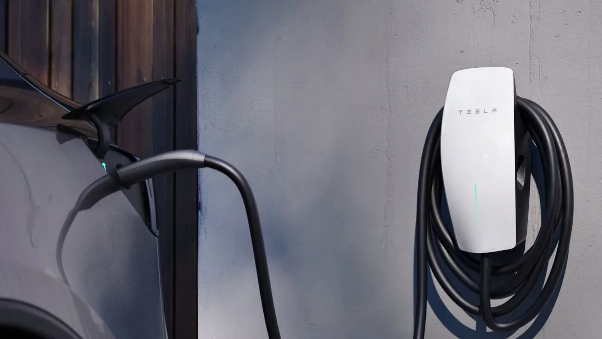 Tesla sells 40 cars in October 2025: Why model Y demand cools after ...