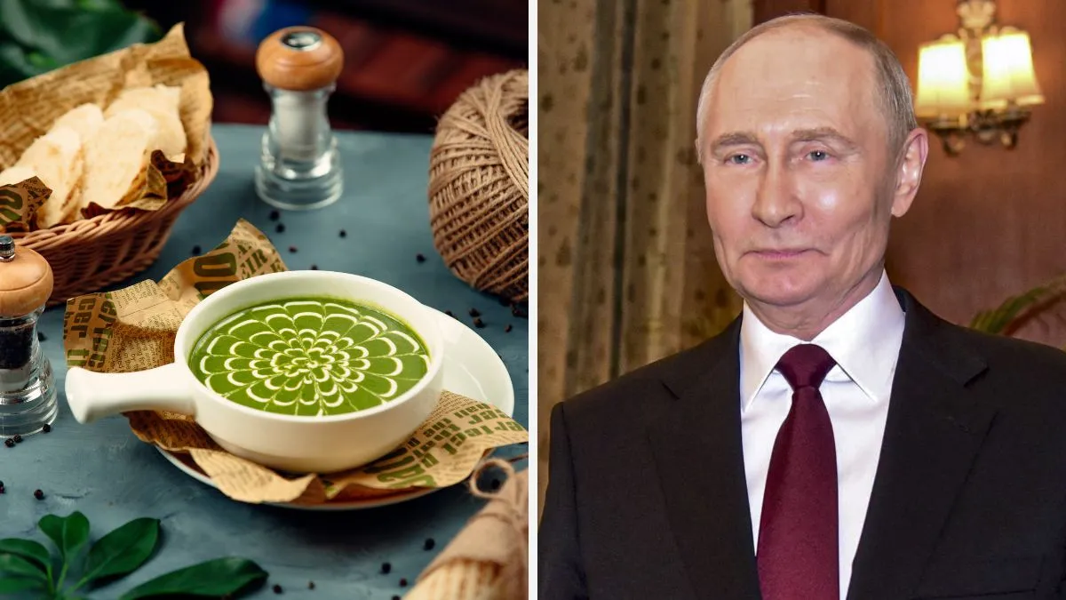 Moringa soup served to Putin on India visit: Health benefits and easy ...