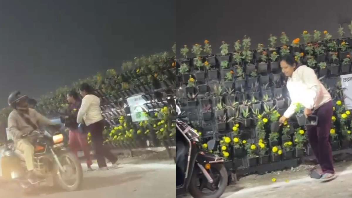 Watch: People steal flower pots near Rashtriya Prerna Sthal in Lucknow ...