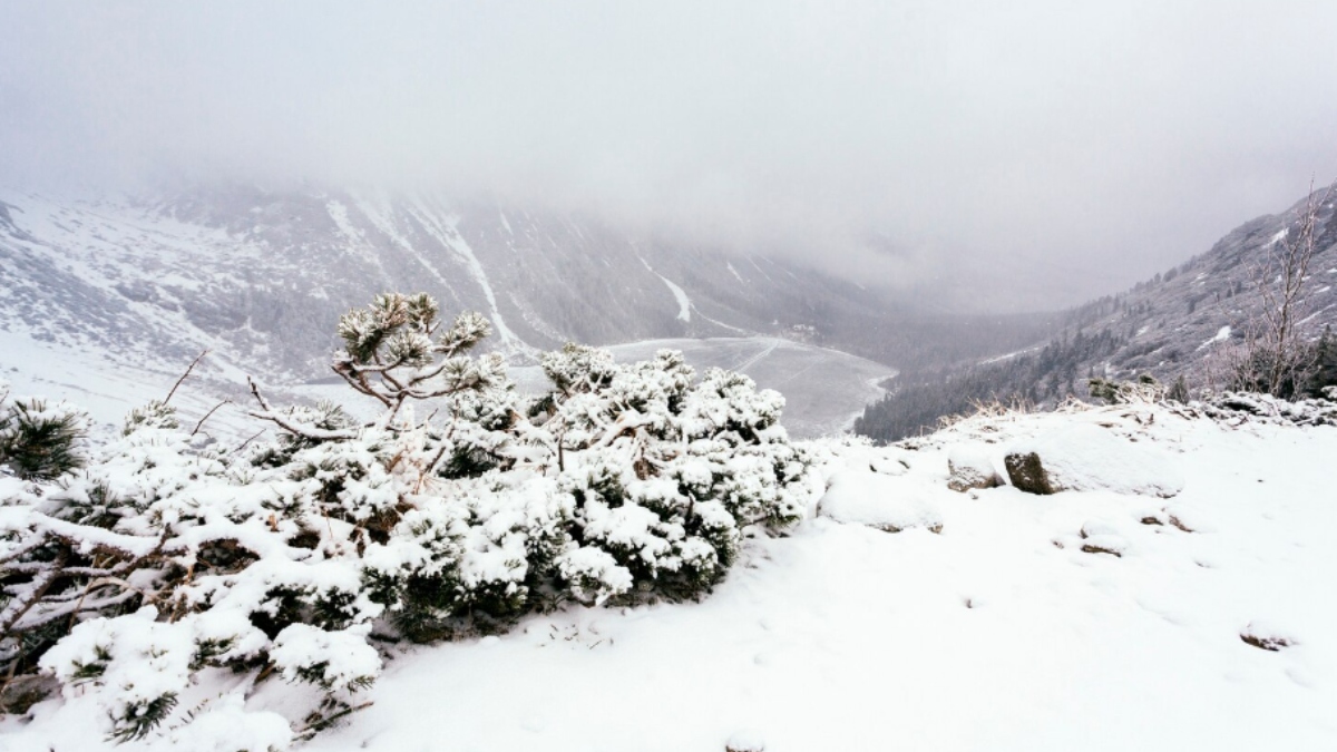 Crowd-free snowfall spots in India: Munsiyari, Kalpa, Sissu, Nathang ...