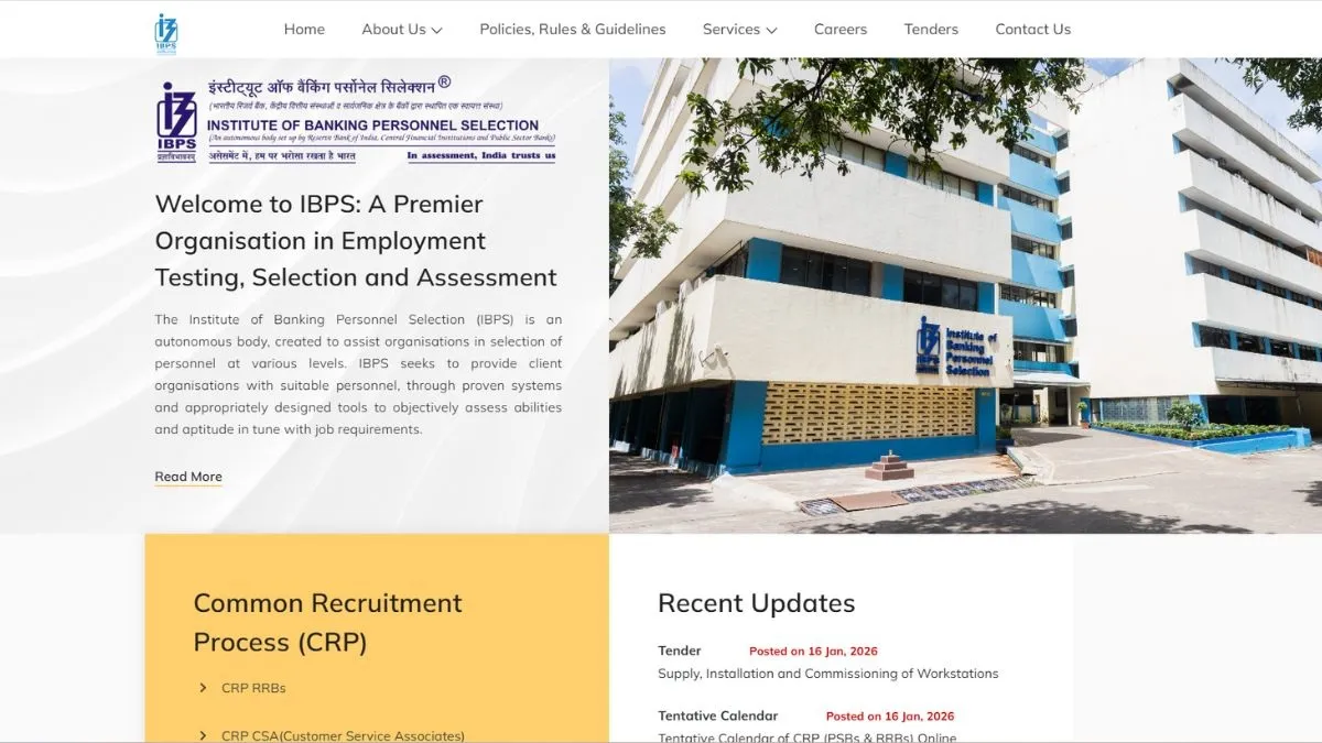 IBPS RRB Clerk Prelims Result 2025 link; how to download scorecard PDF ...