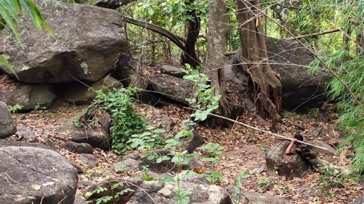 Jammu and Kashmir: 4 kg IED neutralised in Rajouri, Army and police ...