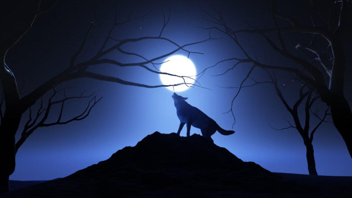 Wolf Moon 2026: Paush Purnima full moon brings financial luck for 3 ...