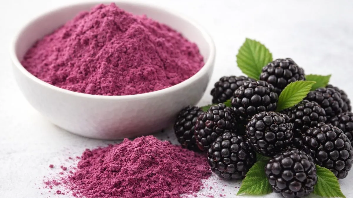 Mulberry powder for hunger control: Can it really help manage blood ...