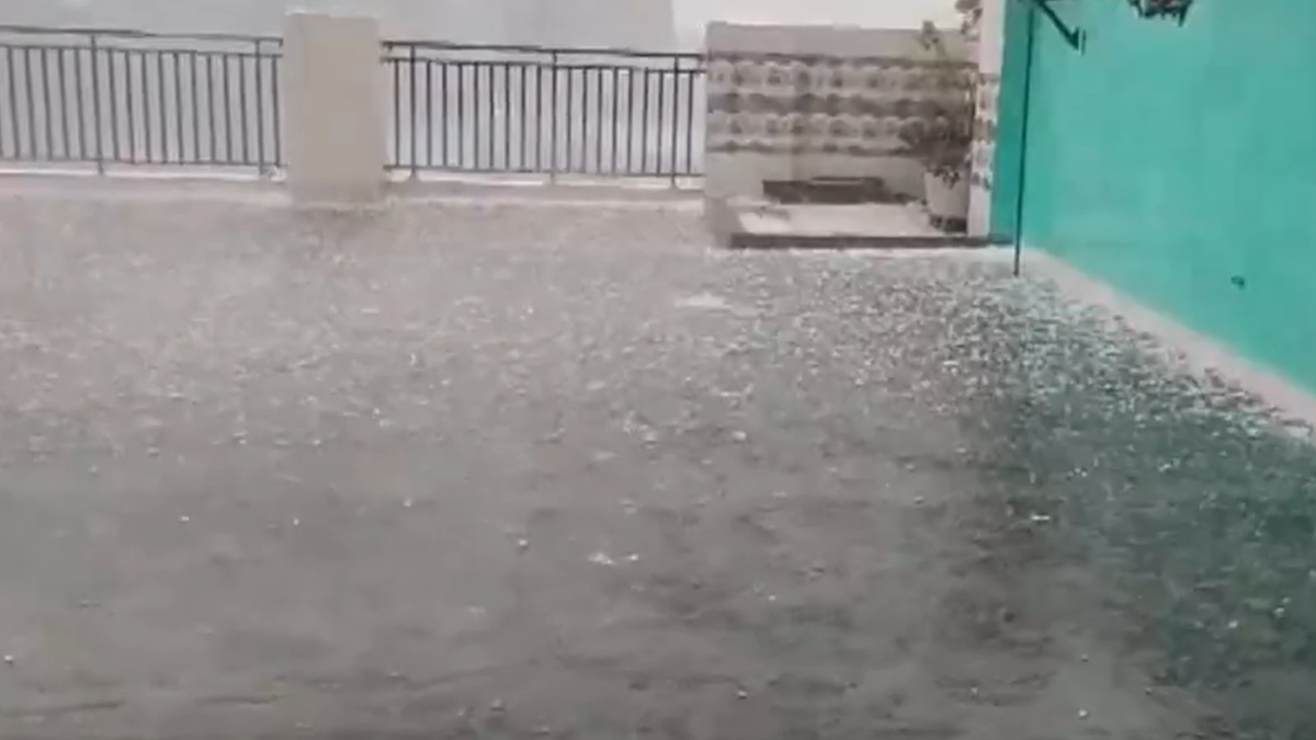 Rain, hailstorms hit parts of Delhi-NCR; IMD forecasts more showers ...