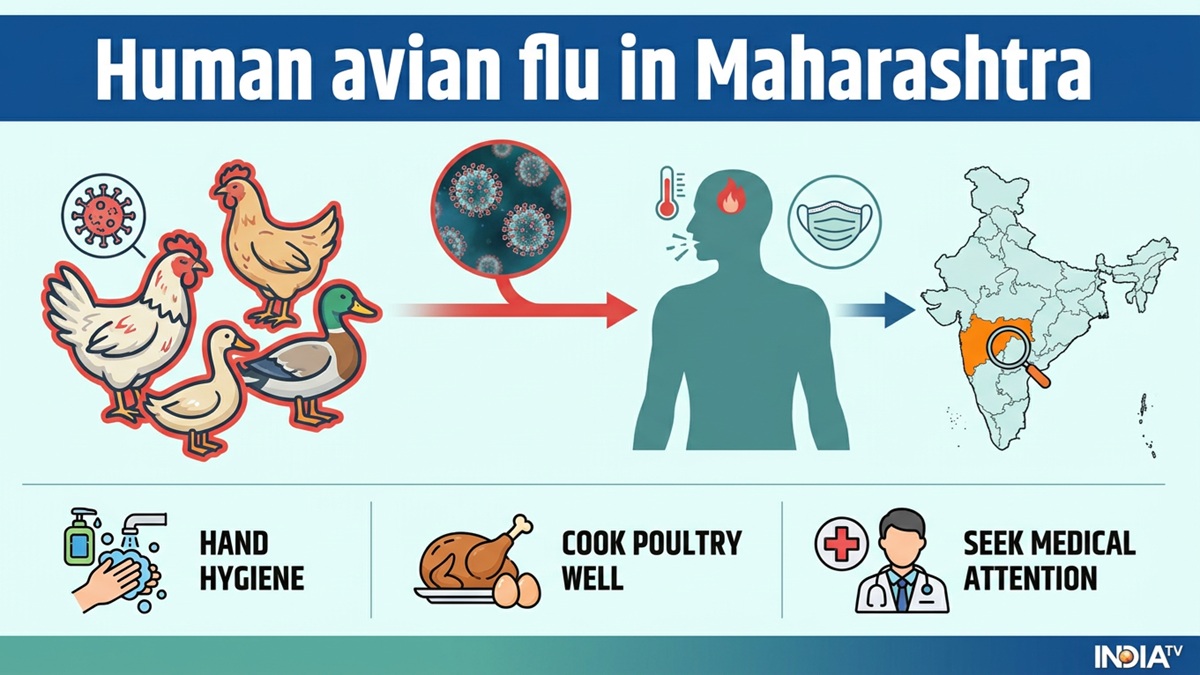Human avian flu in Maharashtra's Nandurbar: Eight samples to be sent to ...