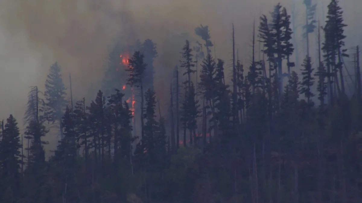 Medical plane crashes near Ruidoso in New Mexico, all four aboard ...