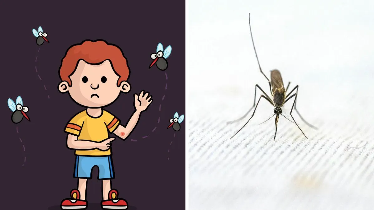 Dengue cases rise in Delhi: Expert explains warning signs parents ...