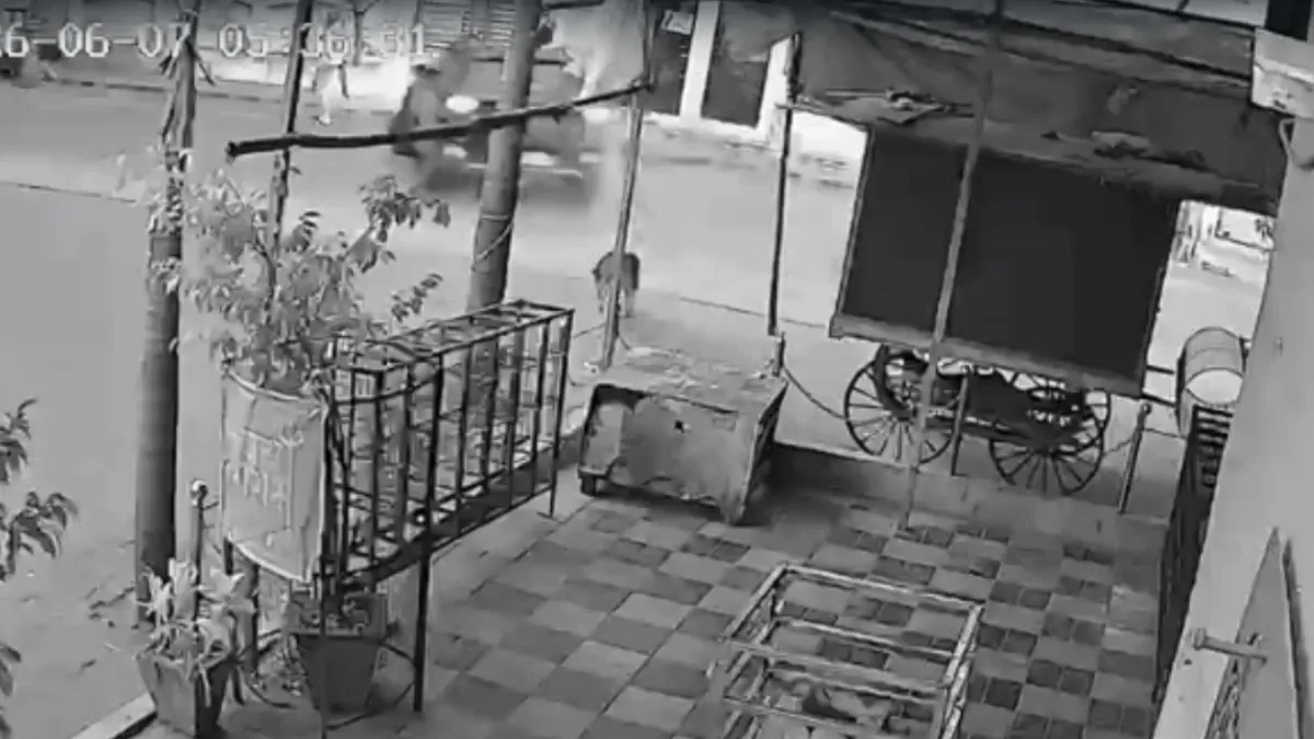 Nagpur hit-and-run: 72-year-old dies after fighting for life for 5 days ...