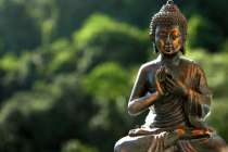 Buddha Latest News, Photos and Videos - India TV News