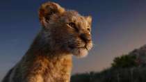 Lion King Latest News, Photos and Videos - India TV News