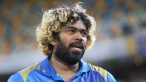 Lasith Malinga Latest News, Photos and Videos - India TV News