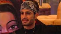 Umar Riaz Latest News, Photos and Videos - India TV News
