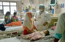 Bihar Diwas Latest News, Photos and Videos - India TV News