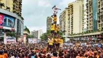 Dahi Handi Latest News, Photos and Videos - India TV News