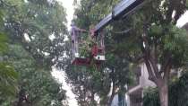 Vasant Vihar Latest News, Photos and Videos - India TV News