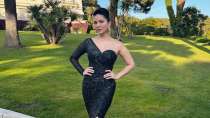 Sunny Leone Latest News, Photos and Videos - India TV News