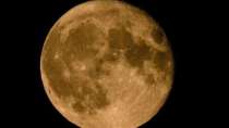 Blue Moon Latest News, Photos and Videos - India TV News