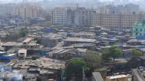 Dharavi Latest News, Photos and Videos - India TV News