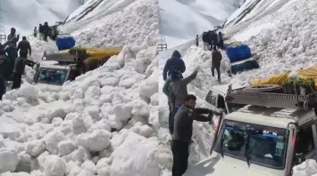 Seven killed, several injured after avalanche buries vehicles at Zojila ...