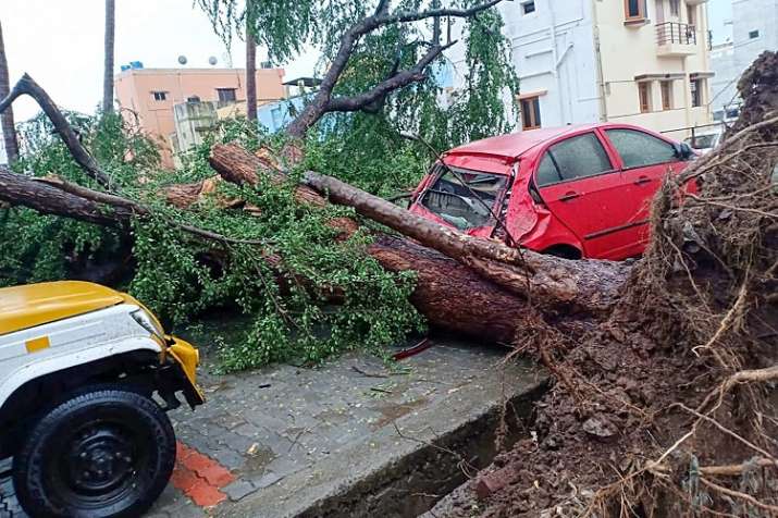 Cyclone Gaja: Death toll rises to 33; water, food, milk being supplied ...
