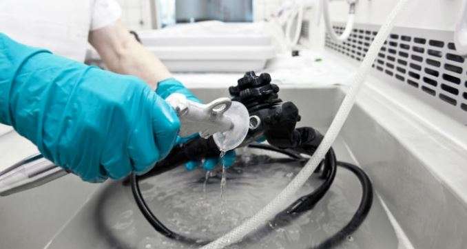 New tiny endoscope captures 3-D images of objects smaller than cell ...