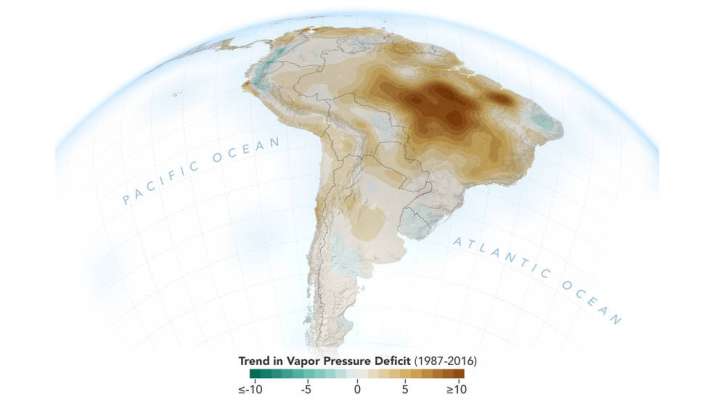 Explained: Why is Amazon rainforest drying up | Fyi News – India TV