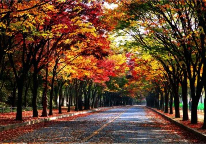 Move over Bali, Thailand; Visit South Korea's Incheon city for the most ...