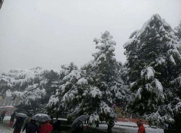 Shimla wrapped in blanket of snow: Tourists have field day | Photos ...