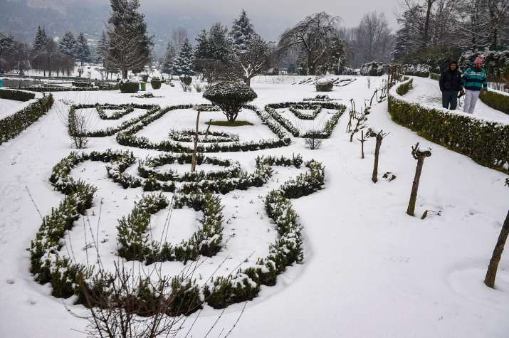 In Pictures: Kullu, Manali covered in snow as heavy snowfall lashes ...