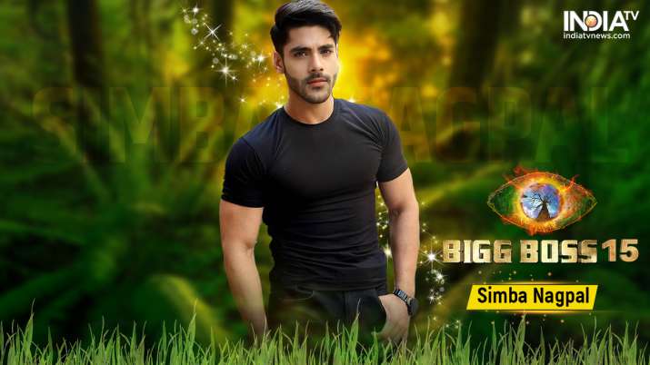 Bigg Boss 15 Contestants List: Umar Riaz, Karan Kundrra, Tejasswi ...