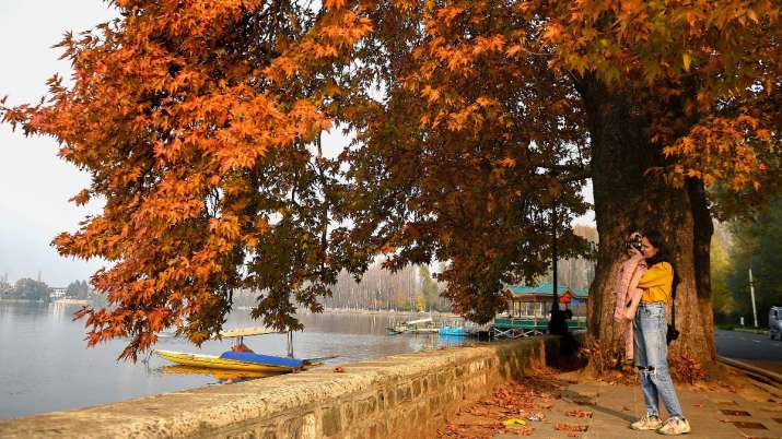 Srinagar joins UNESCO creative cities network | India - India TV News