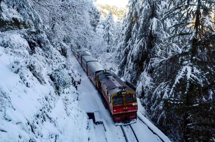 IN PICS: Fresh spell of snowfall lashes Shimla; temperature drops to ...