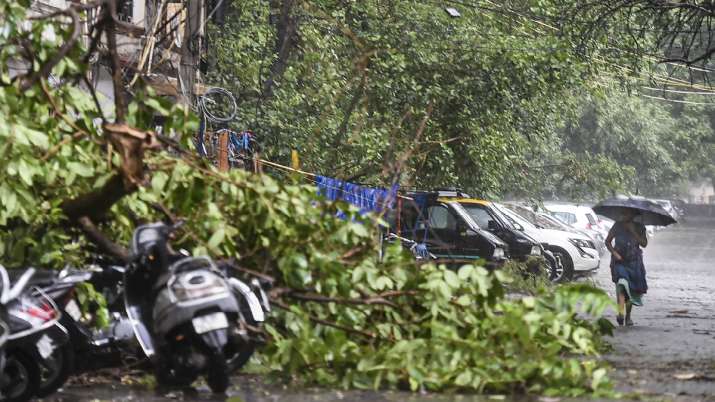 Delhi rains after-effects: 2 dead, several flights diverted, trees ...