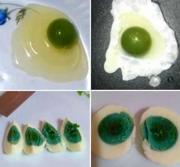 Kerala man's chickens lay eggs with green yolks, experts unravel ...