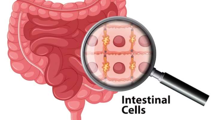 Dehydration can lead to problems in intestines; know these alarming ...
