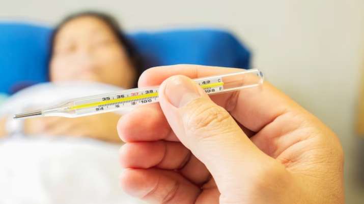 Malaria vs Dengue: Causes, Key differences, treatments and prevention | Health News – India TV