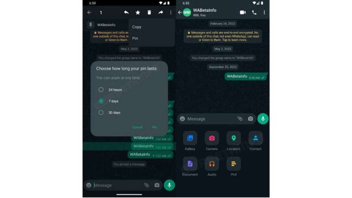 Know how to highlight important messages with WhatsApp's pinned ...